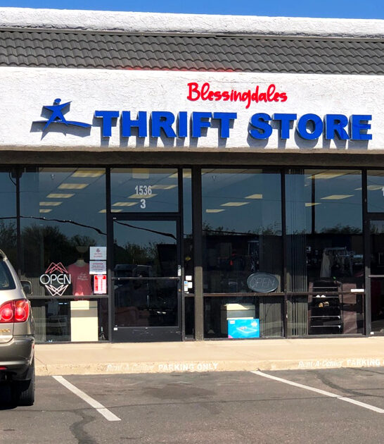 massive bargain shop arizona ftr