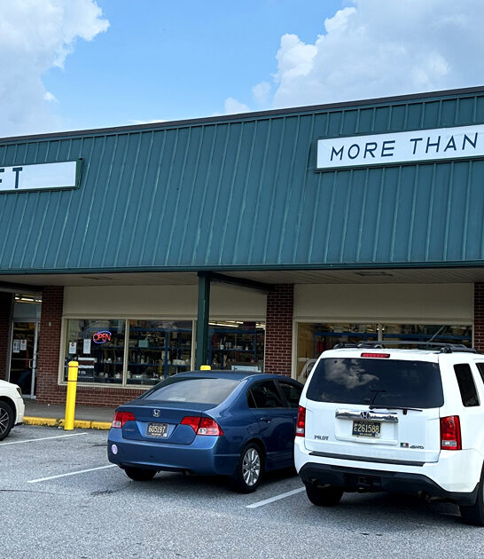 massive delaware thrift paradise ftr