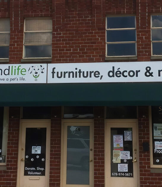 massive dollar georgia pass ftr