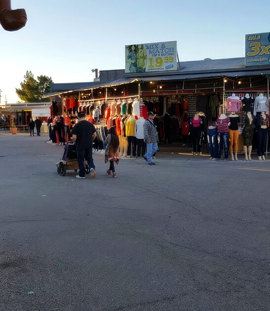 massive flea arizona rethink ftr