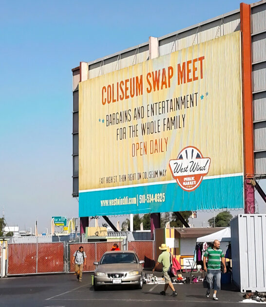 massive flea california hosts ftr