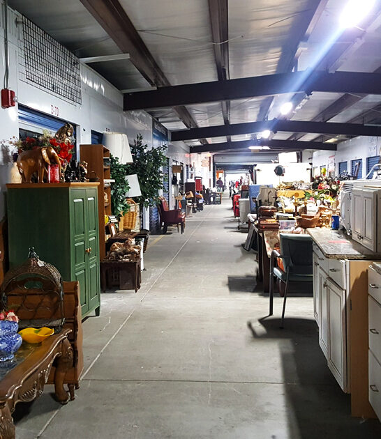 massive flea florida trunk ftr