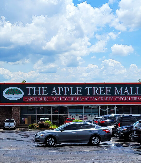 massive flea haven missouri ftr