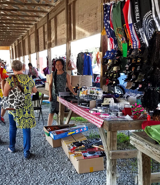 massive flea treasures georgia ftr