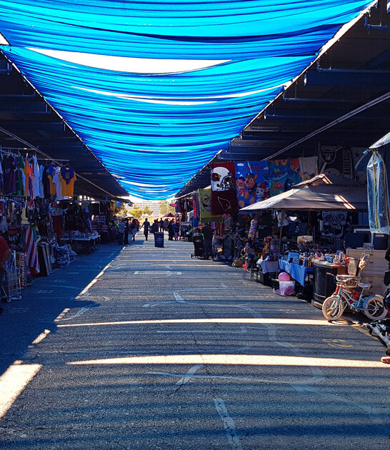 massive market flea arizona ftr