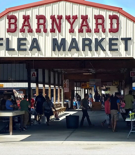 massive markets south carolina ftr