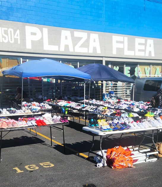 massive maryland swap meets ftr