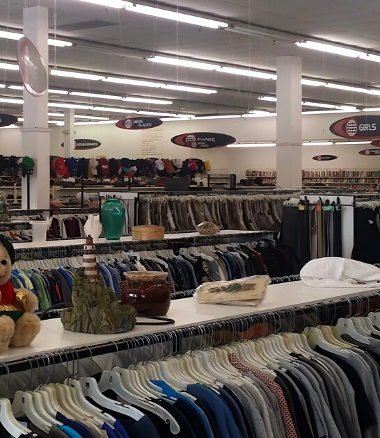 massive secondhand michigan treasures ftr