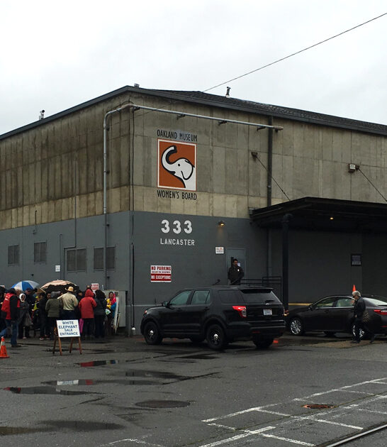 massive thrift destination california ftr