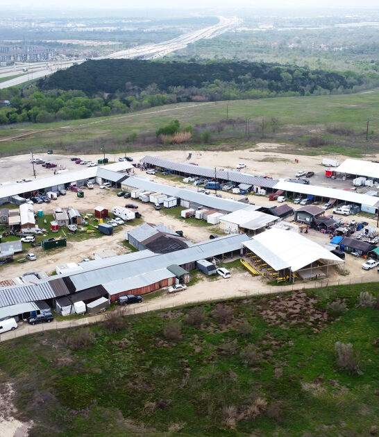 massive thrift texas score ftr