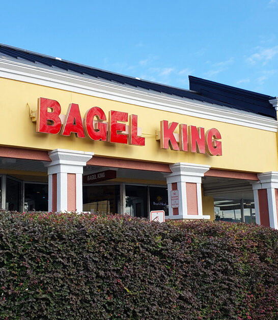 matzo ball soup florida ftr