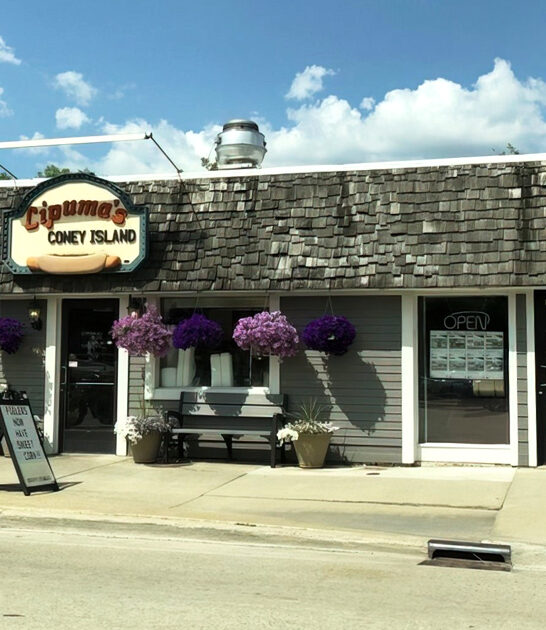 michigan hometown hotdog stop ftr