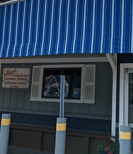 michigan outrageous pizza spots ftr