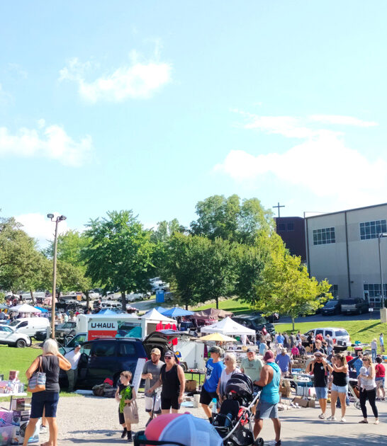 missouri gigantic flea amazing ftr