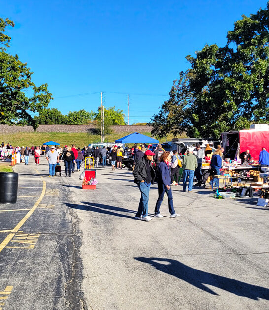 missouri incredible bargains flea ftr