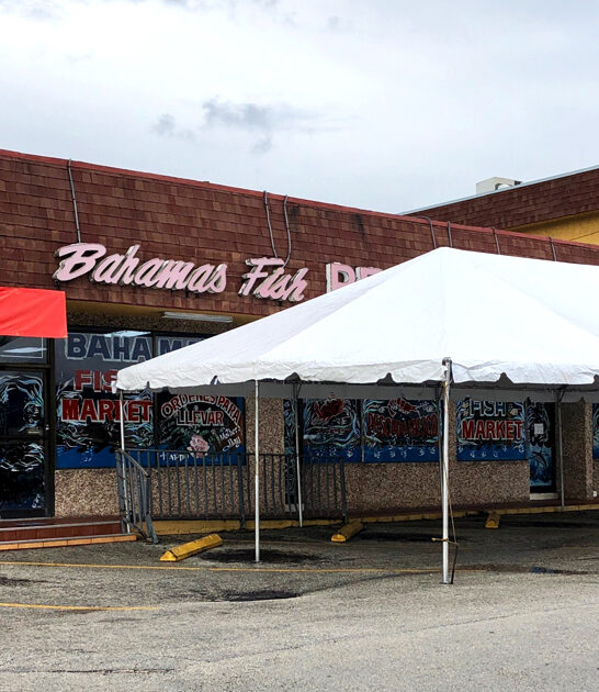 mouth watering paella florida ftr