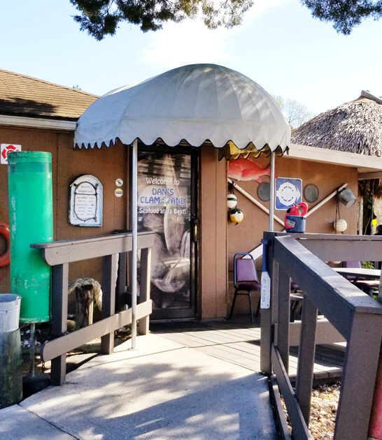 mouthwatering fried clams florida ftr
