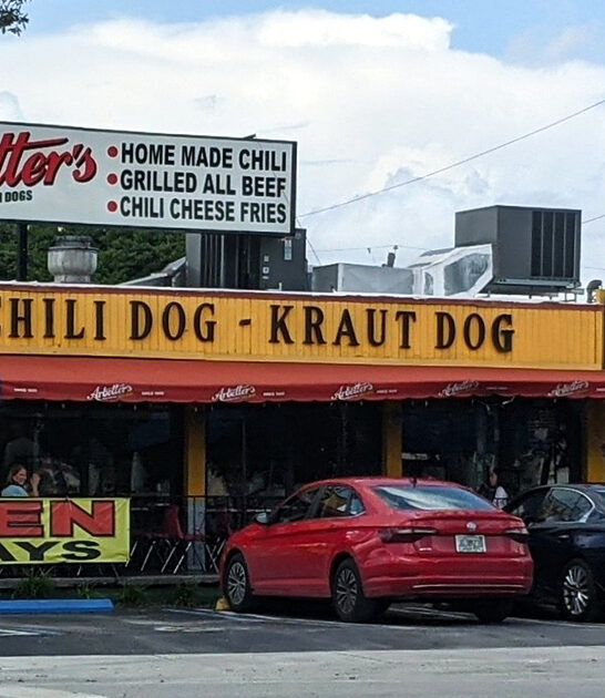 must try florida hotdogs ftr