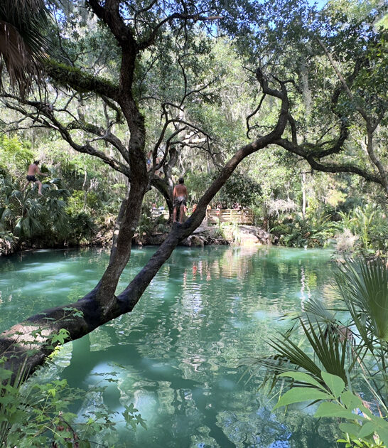 mysterious sulfur spring florida ftr