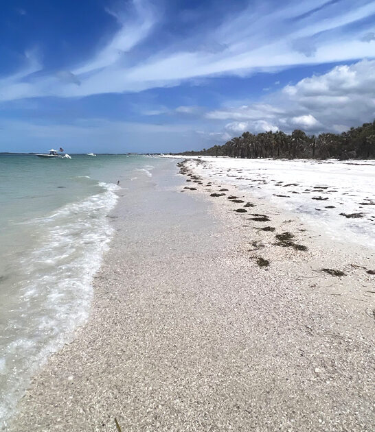 nice remote island florida ftr