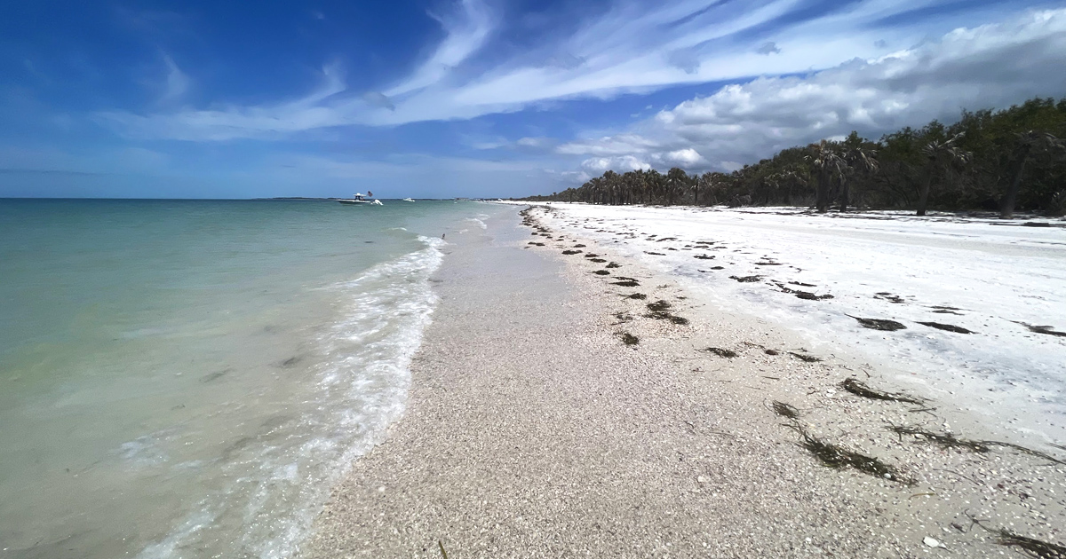The Remote Island In Florida Where Locals Go When They Want Total ...