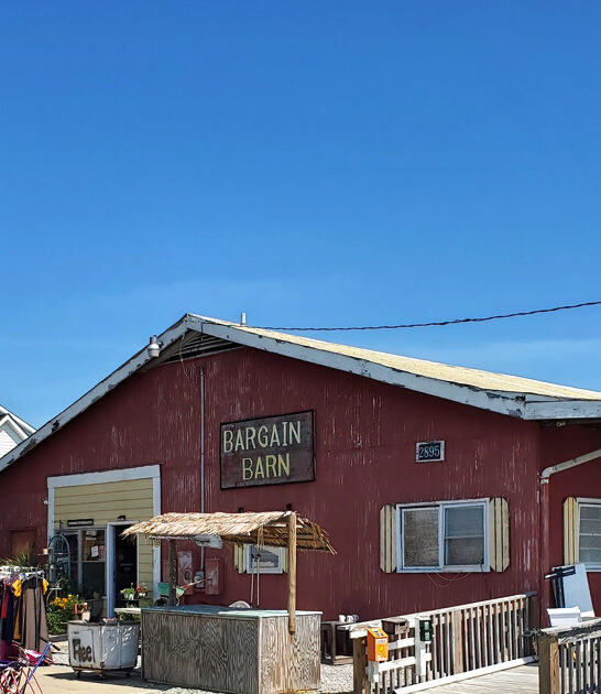 north carolina bargain bliss ftr