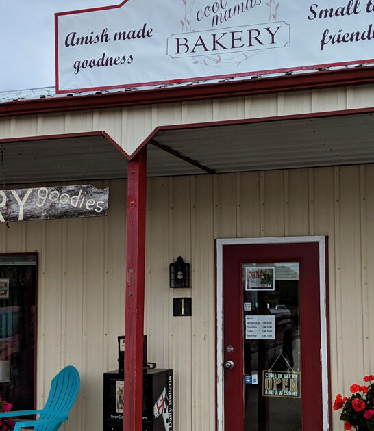 north carolina best donuts ftr