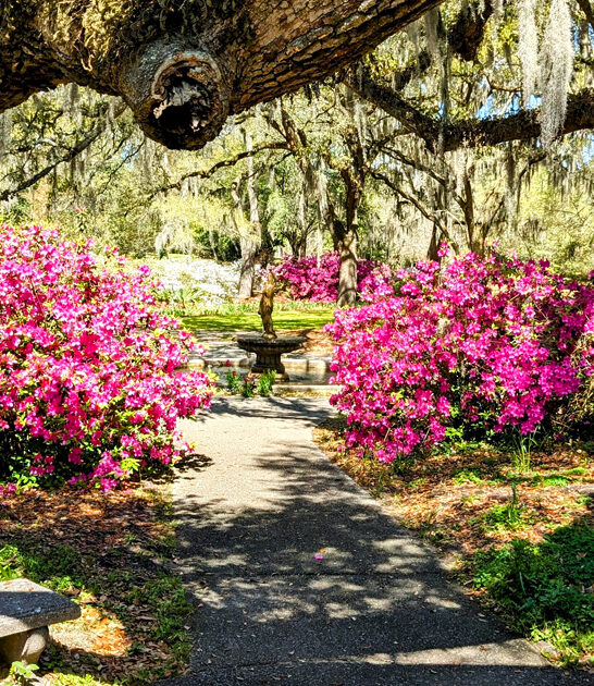 north carolina garden attractions ftr