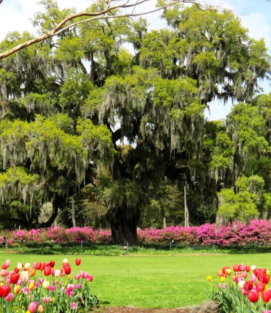 north carolina garden destinations ftr