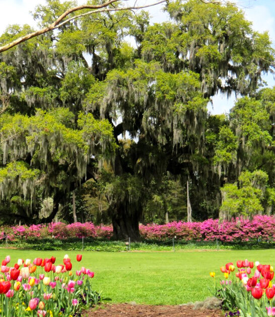 north carolina garden tours ftr