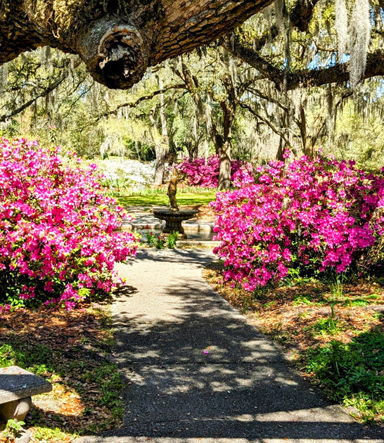 north carolina garden visits ftr