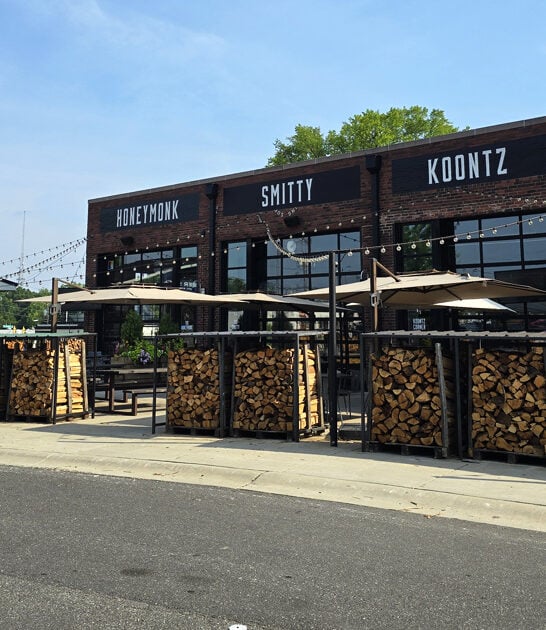 north hush carolina puppies ftr