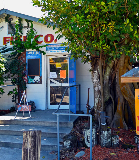 ocean bounty bites florida ftr