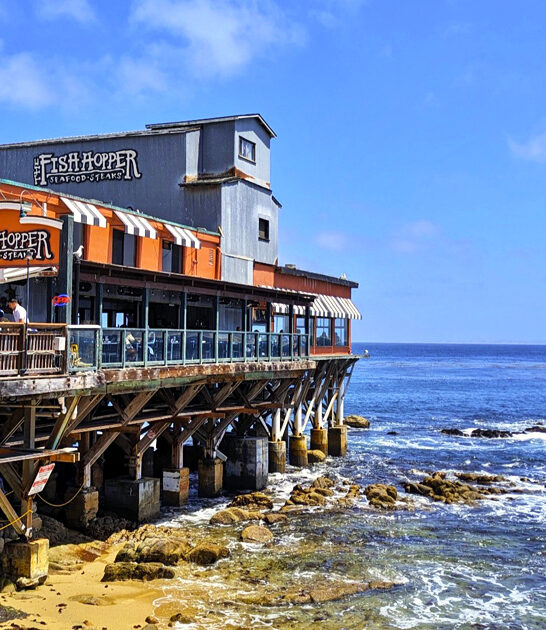 oceanside restaurant california clam ftr