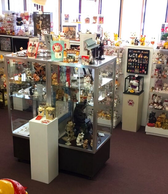 ohio cat museum collection ftr