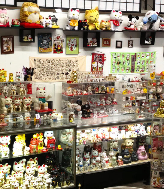 ohio cat museum destination ftr