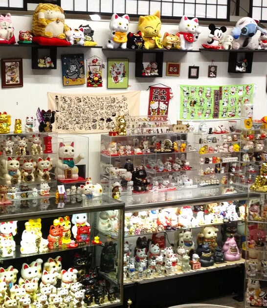 ohio cat museum exhibit ftr