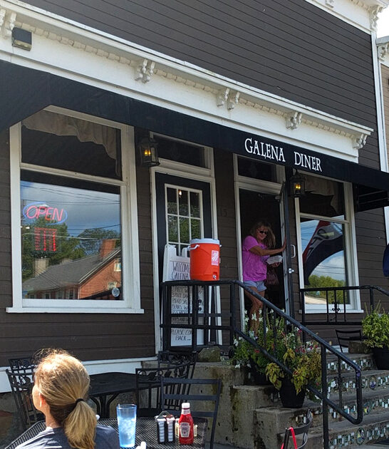 ohio fried walleye diner ftr