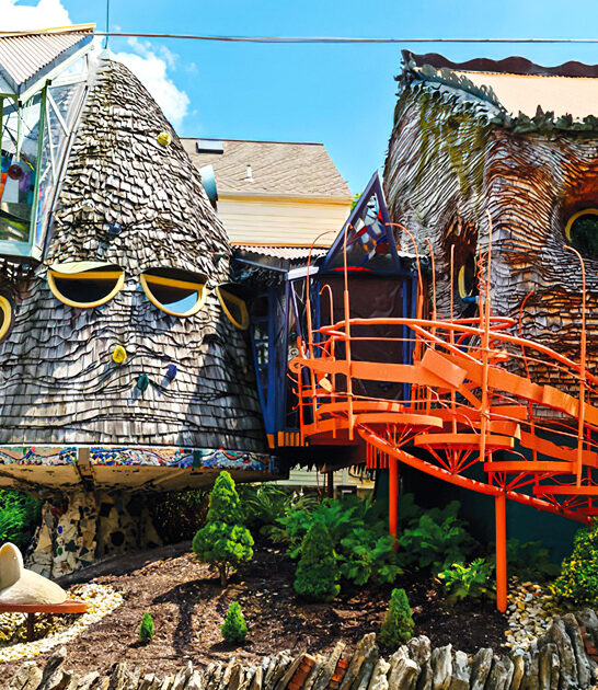 the mushroom house