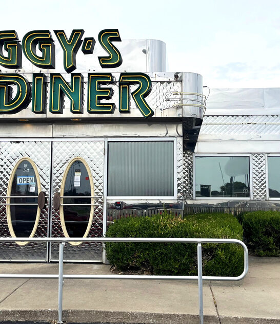 omelets diner missouri trip ftr