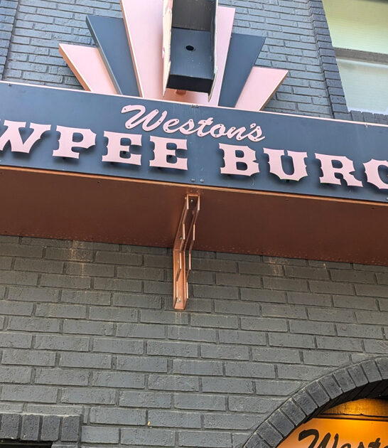 onion rings diner michigan ftr