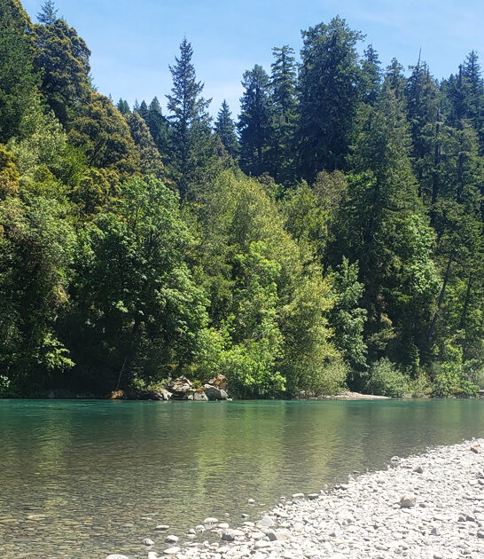 oregon gorgeous state park FTR