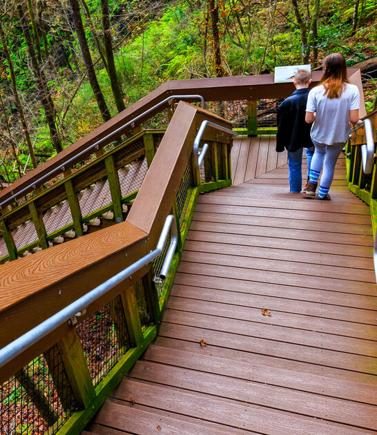 otherworldly park florida trips ftr