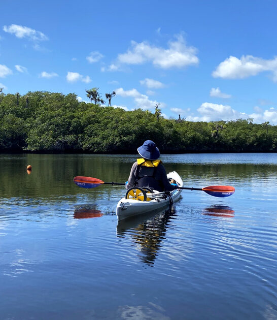 outdoor florida state park ftr