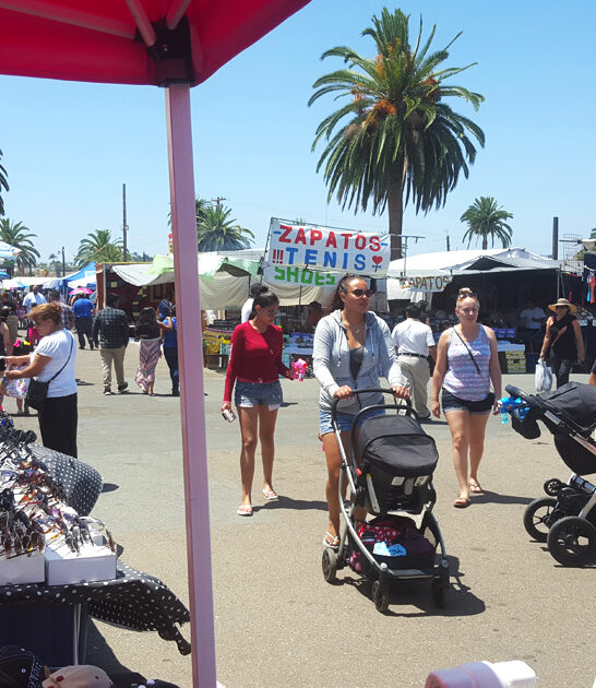 outrageous deals flea california ftr