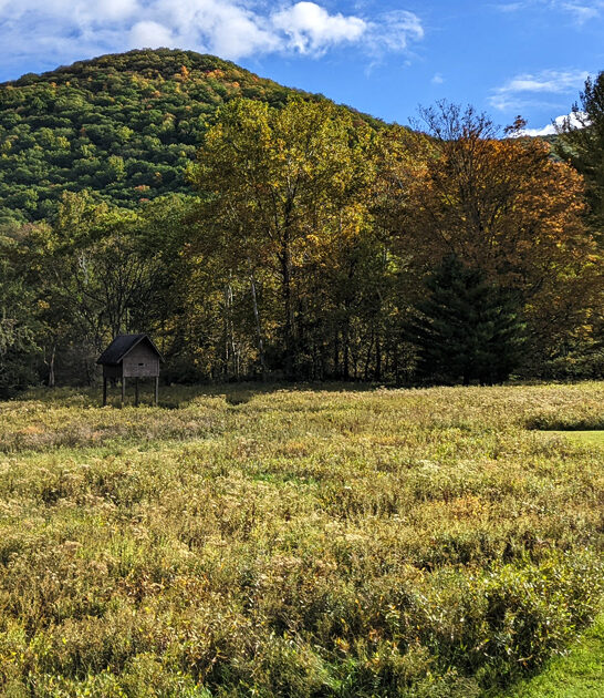 park pennsylvania stunning real ftr