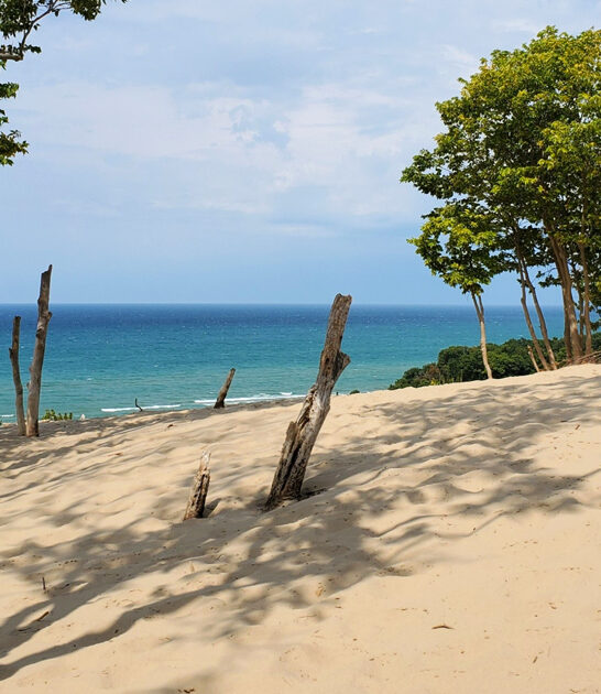 park scenic state michigan ftr