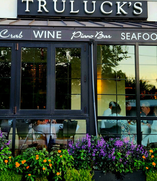 parmesan rolls florida road ftr