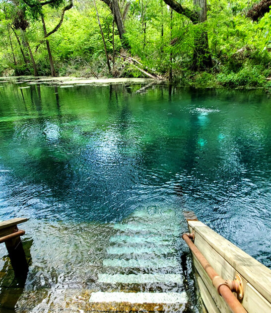 peaceful florida park getaway ftr