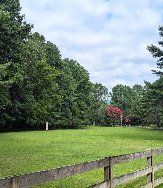peaceful forest retreat georgia ftr